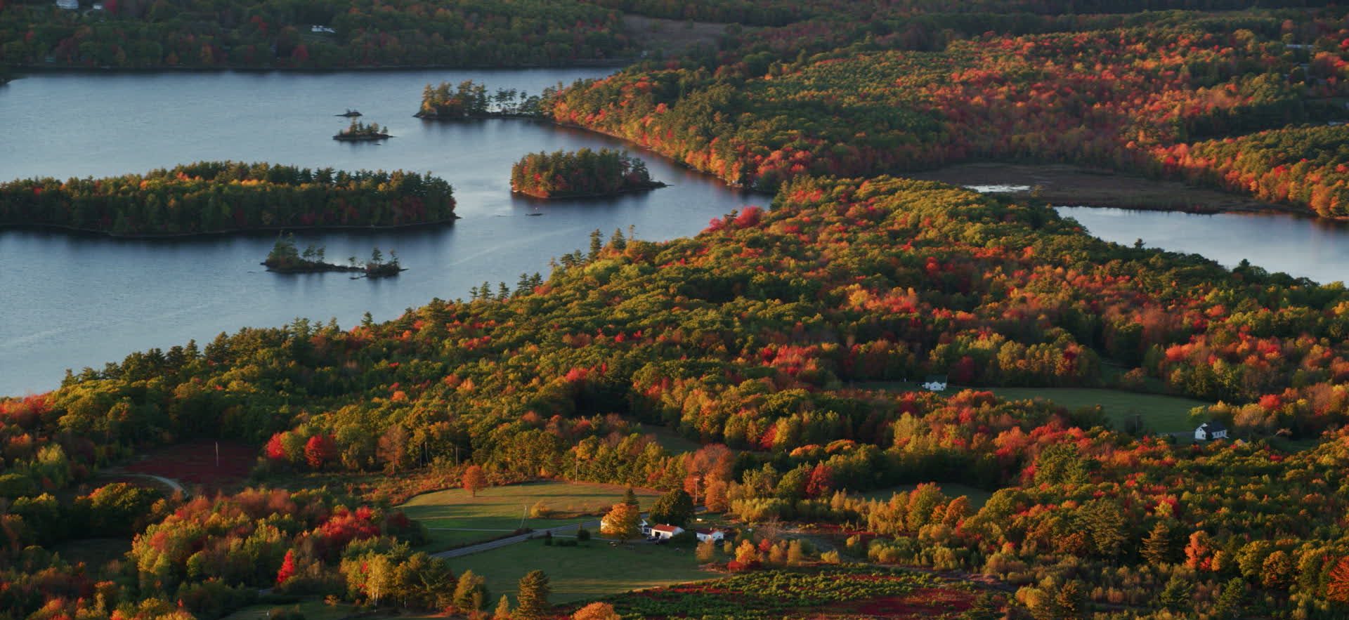 Liberty - Belfast Area Chamber of Commerce